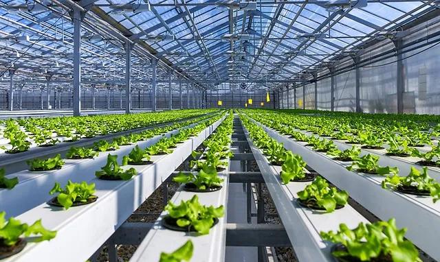 Green Farm Crop - Sustainable & Regenerative Agriculture